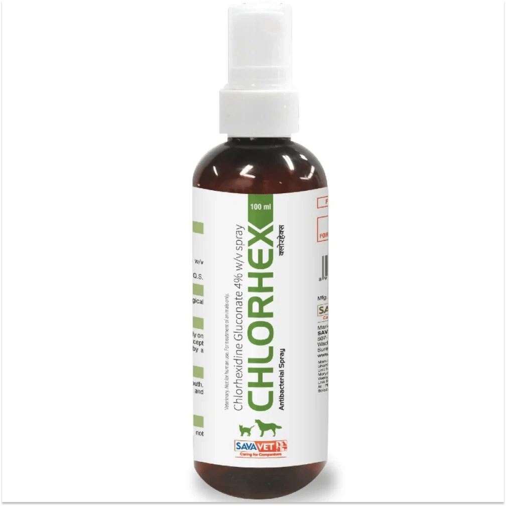 Savavet Chlorhex (Chlorhexidine) Spray for Dogs & Cats (100ml ...